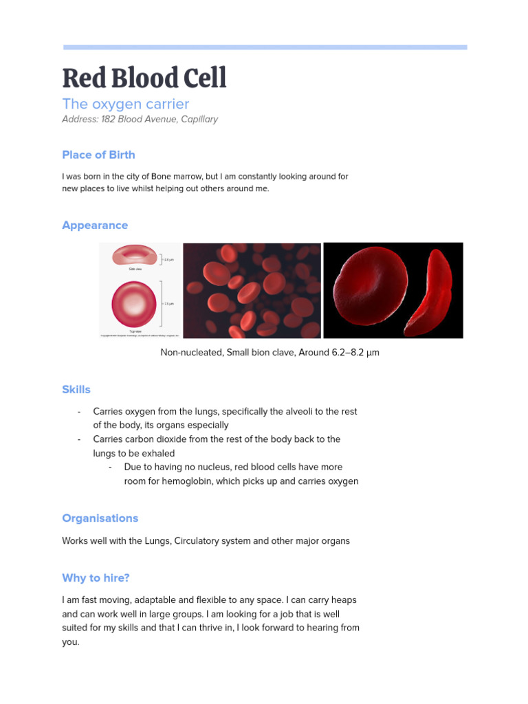 Red Blood Cell: Oxygen Carrier Overview | PDF