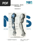 Intervalo Rotador | PDF | Hombro | Extremidades (anatomía)