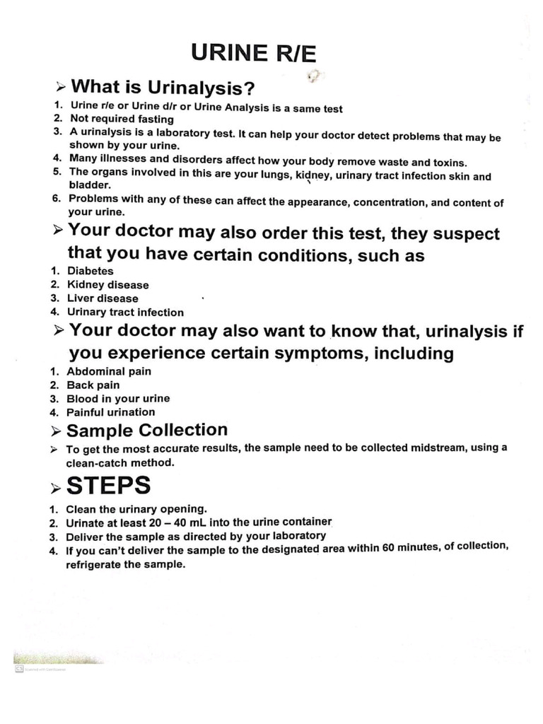 Urine Routine Examination 1716355169 | PDF