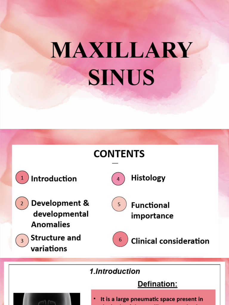 Maxillary Sinus Seminar | PDF | Epithelium | Histology