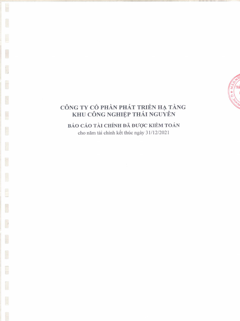 BCTC Kiem Toan 2021. | PDF