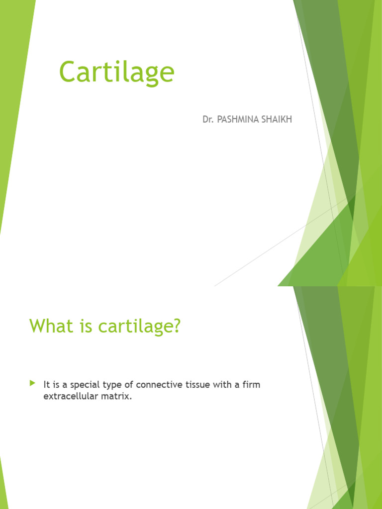 Cartilage | PDF | Cartilage | Extracellular Matrix