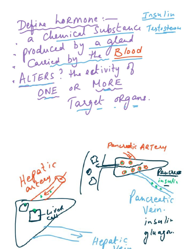 Chapter 14.3 (Co-Ordination & Control) | PDF