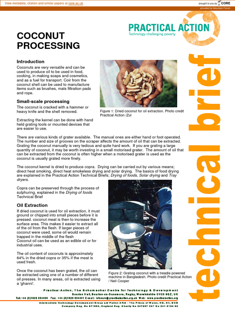 Coconut Processing: Figure 1: Dried Coconut For Oil Extraction. Photo ...