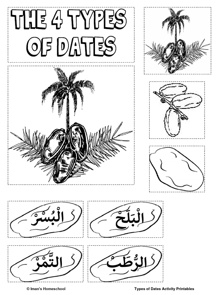 Types of Dates Activity Printables | PDF