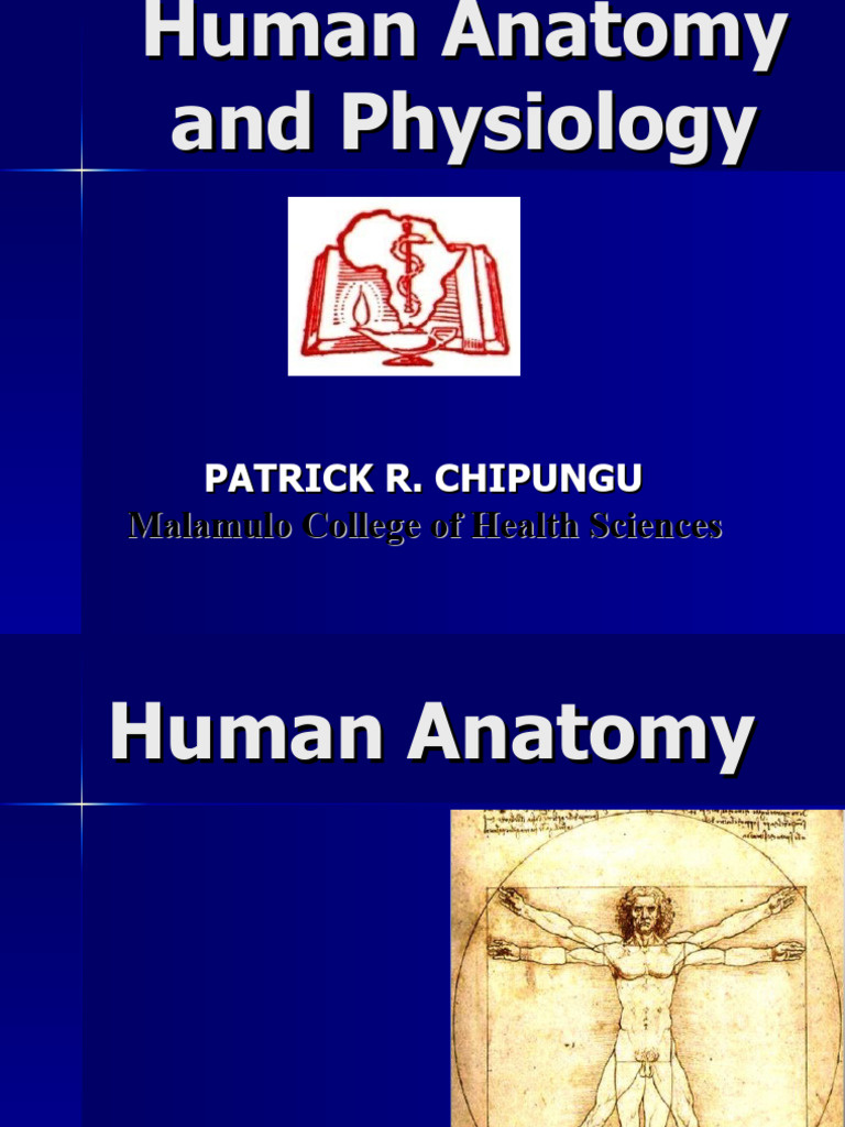 Human Anatomy and Physiology Overview | PDF
