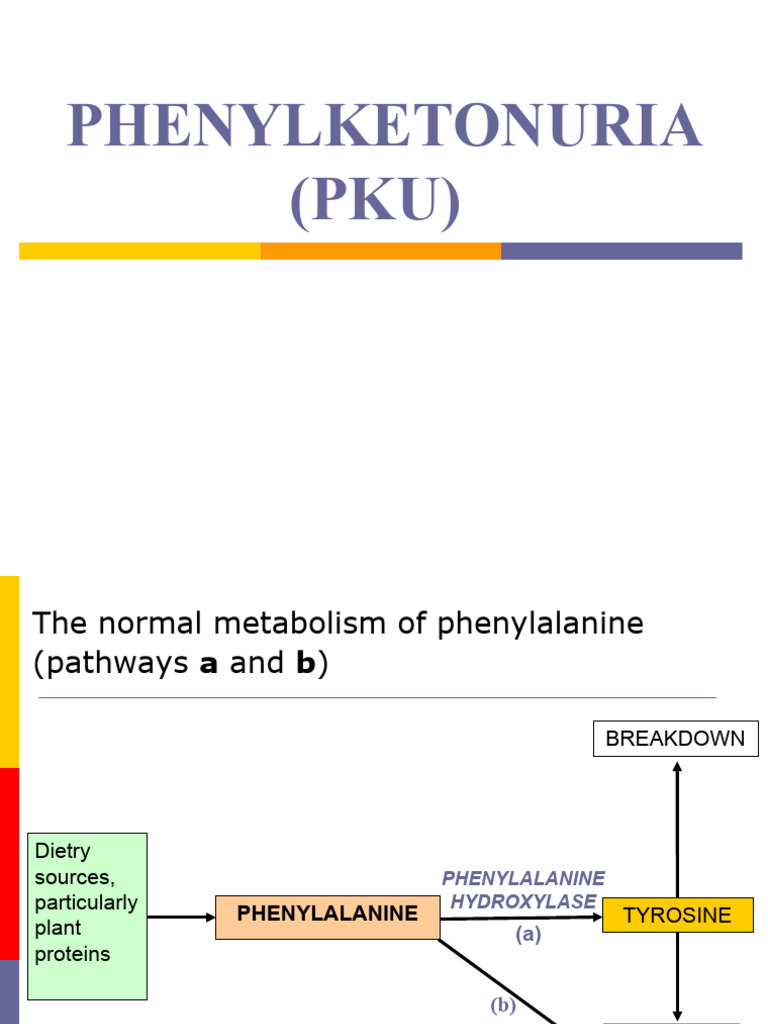 Phenylketonuria (Pku) | PDF | Phenylalanine | Biology