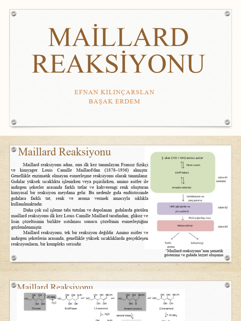 Maillard Reaksiyonu | PDF