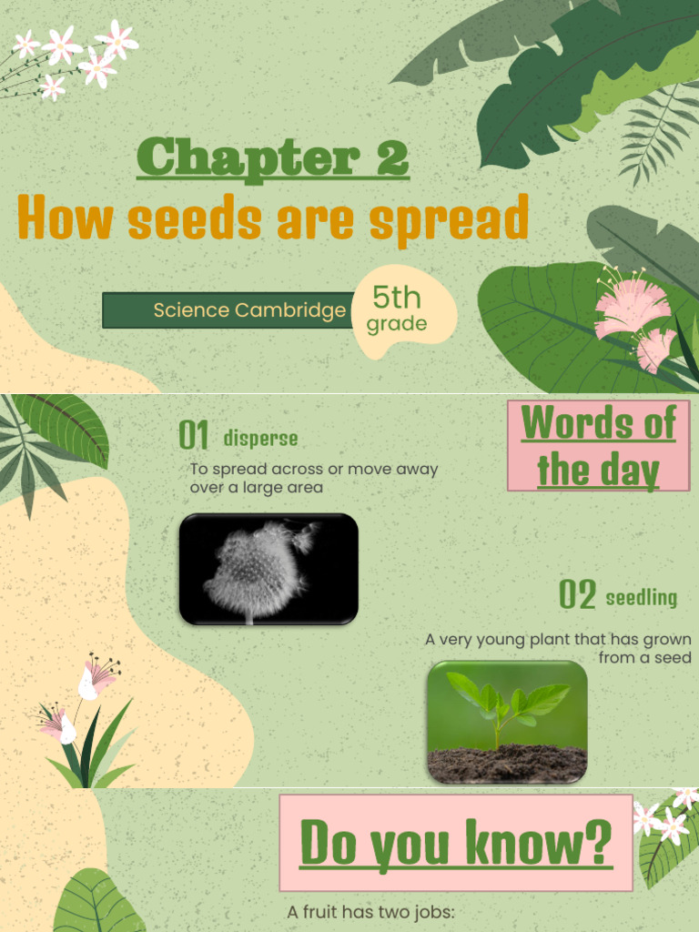 Seed Dispersal Methods for Plants | PDF | Home & Garden