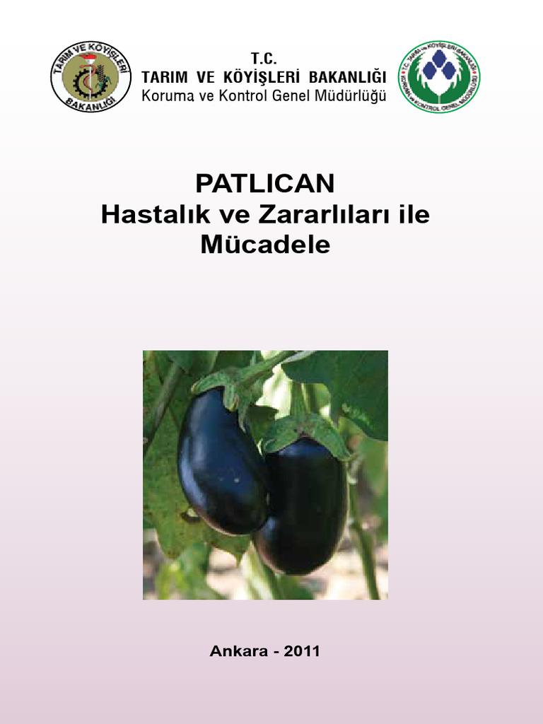 Patlican Hastaliklari | PDF