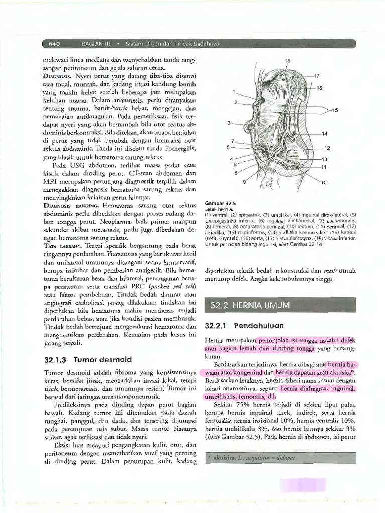 Buku Ajar Ilmu Bedah DeJong Edisi 4 Vol 2 | PDF