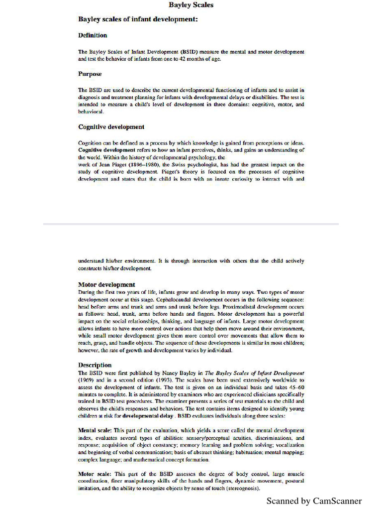 Bayley - S Scales | PDF