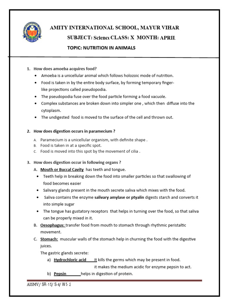 Herbivore vs Carnivore Intestine Length | PDF | Digestion | Small Intestine