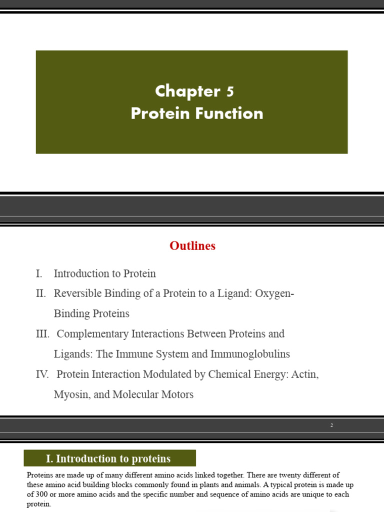 Chapter 5. Function of Proteins | PDF | Hemoglobin | Proteins