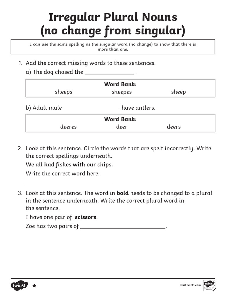 Irregular Plural Nouns Exercises | PDF | Plural | Deer