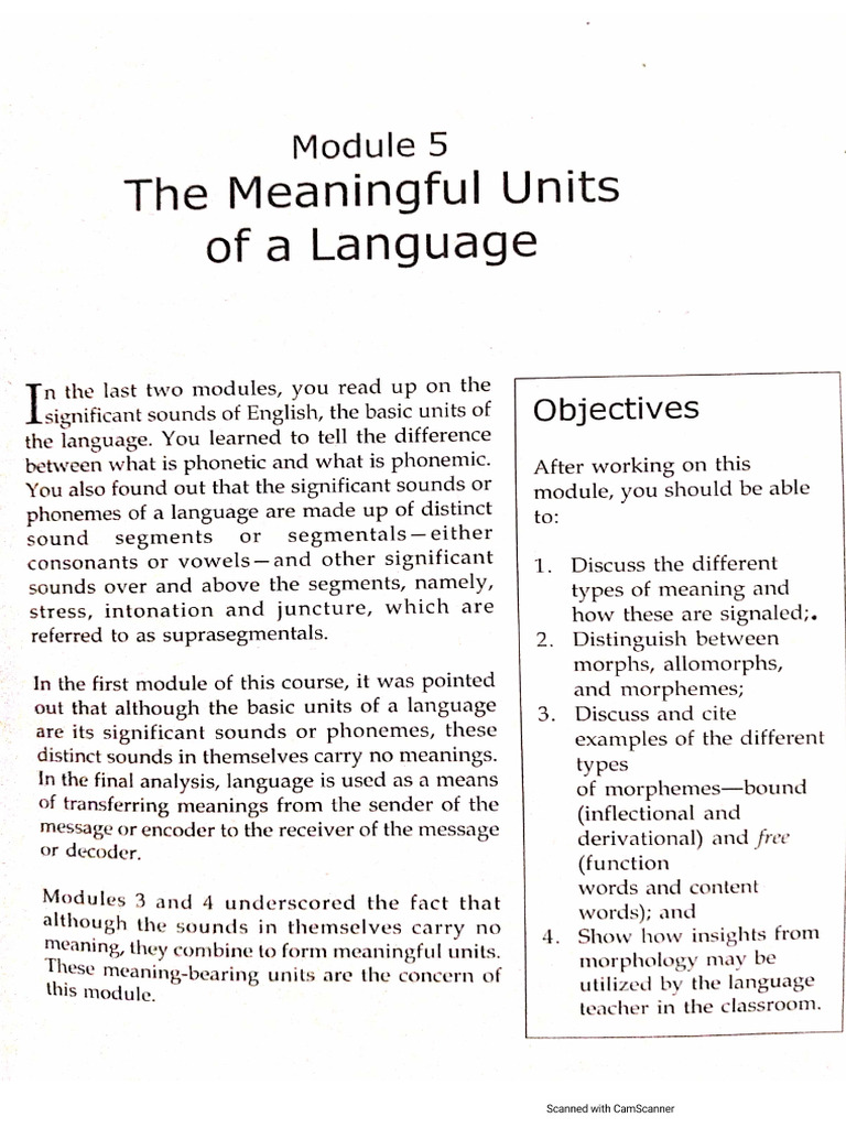 Module 5-The-Meaningful-Units-of-a-Language | PDF
