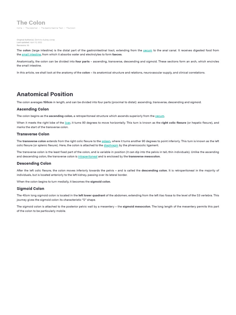 The Colon - Ascending - Transverse - Descending - Sigmoid ...