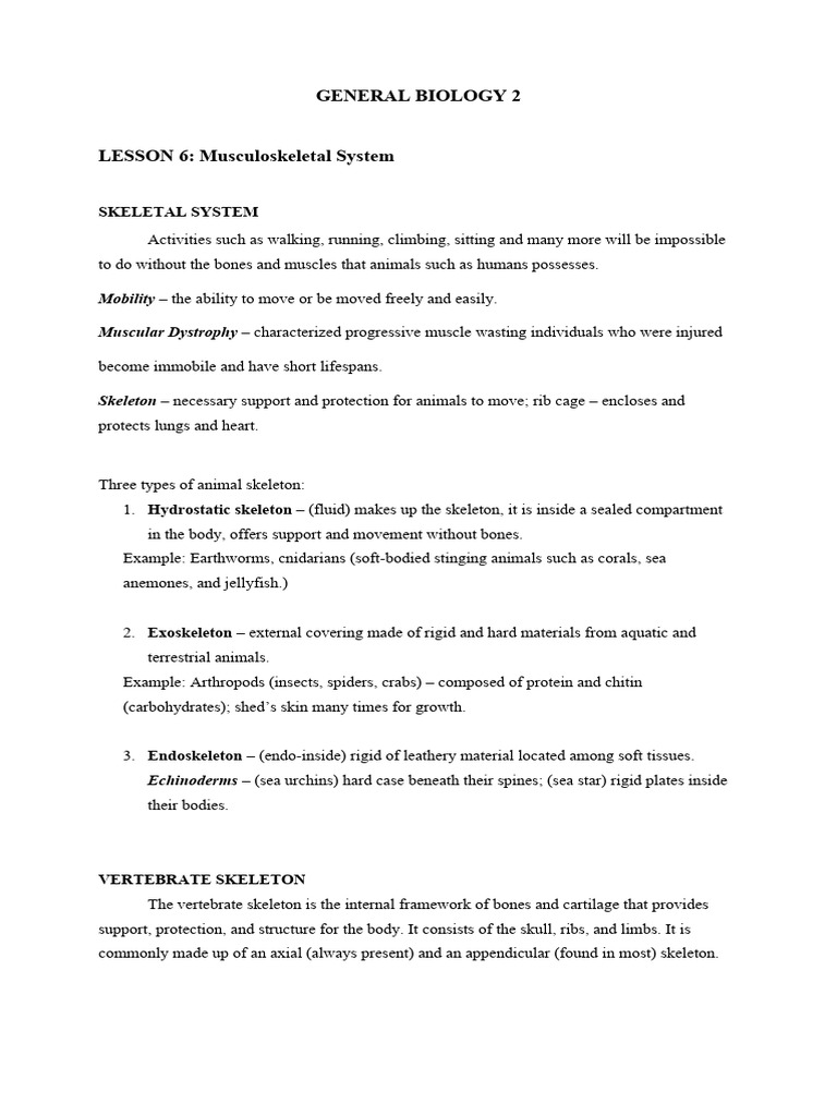 Group 2 Musculoskeletal System | PDF | Skeleton | Muscle Contraction