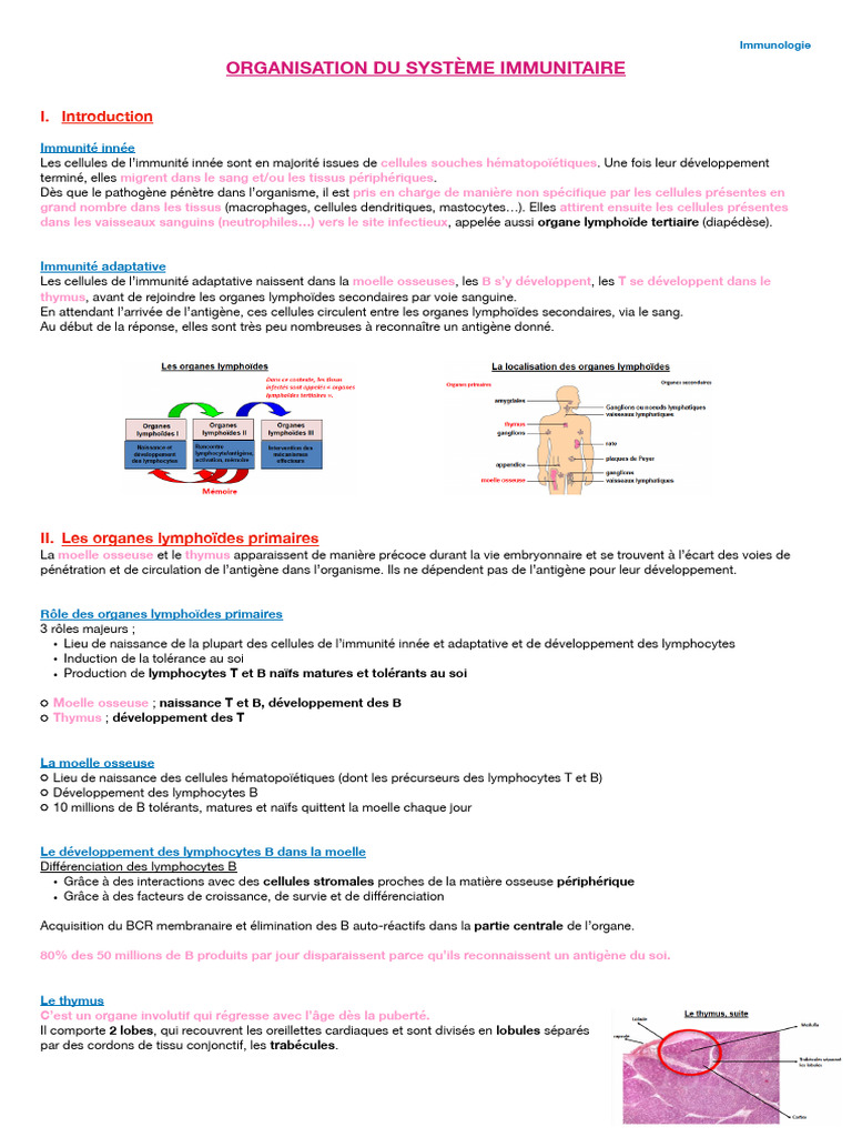Organisation du Système Immunitaire | PDF | Lymphocyte T | Système ...