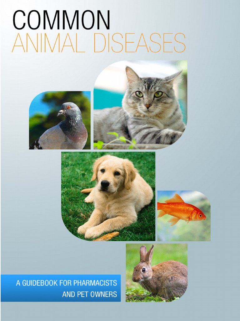 Guide to Common Animal Diseases | PDF | Urinary Incontinence | Diabetes