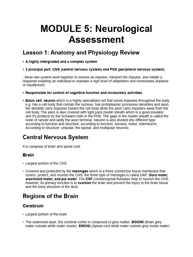 Neurological Assessment Guide | PDF | Cerebrum | Vertebral Column