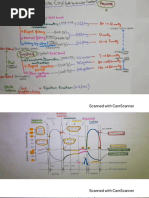 Firdous Physiology 20th Edition | PDF
