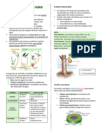 diferen-as-entre-seiva-bruta-e-elaborada-pdf-casa-e-jardim