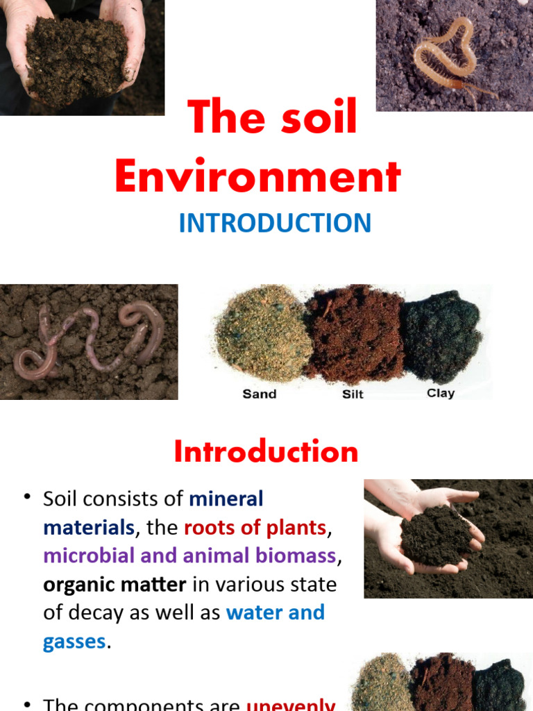 The Soil Environment | PDF | Soil | Redox
