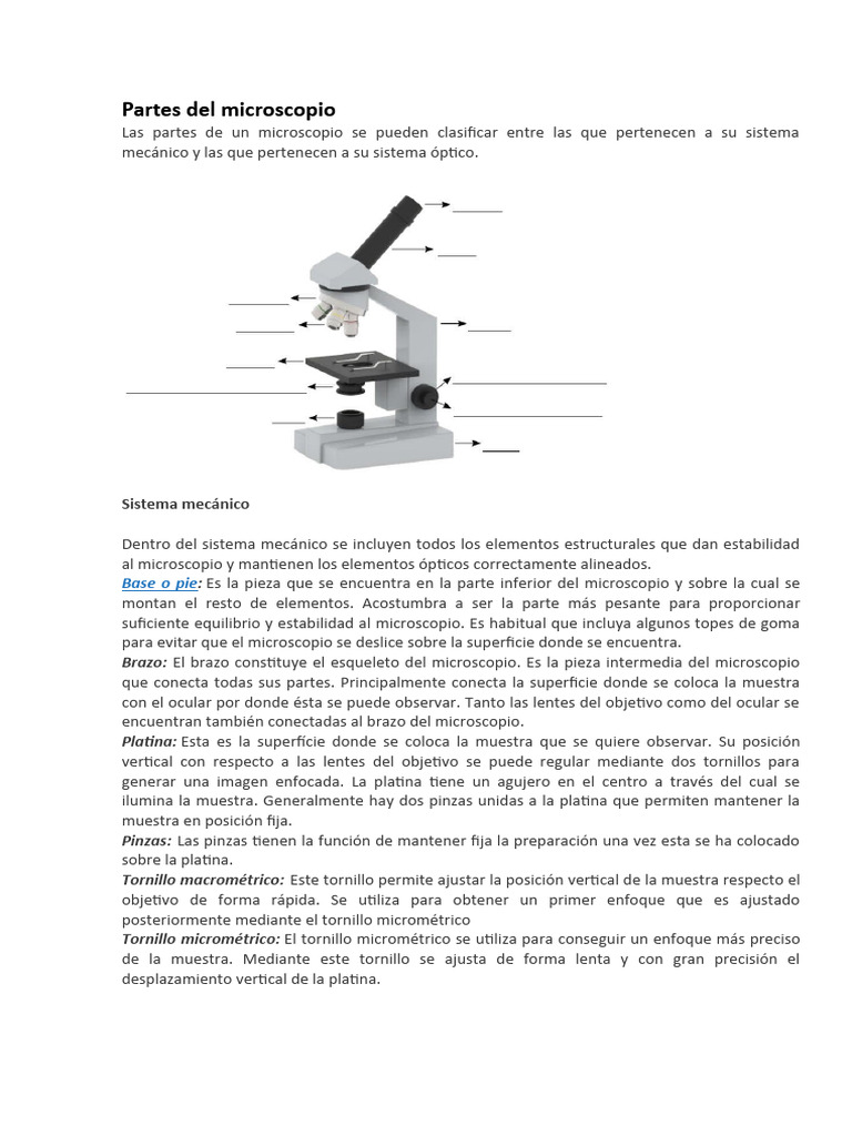 Partes del microscopio y su función | PDF | Lente de la cámara | Óptica