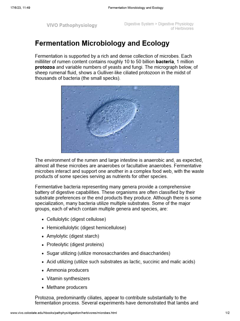 Fermentation Microbiology and Ecology | PDF | Biology