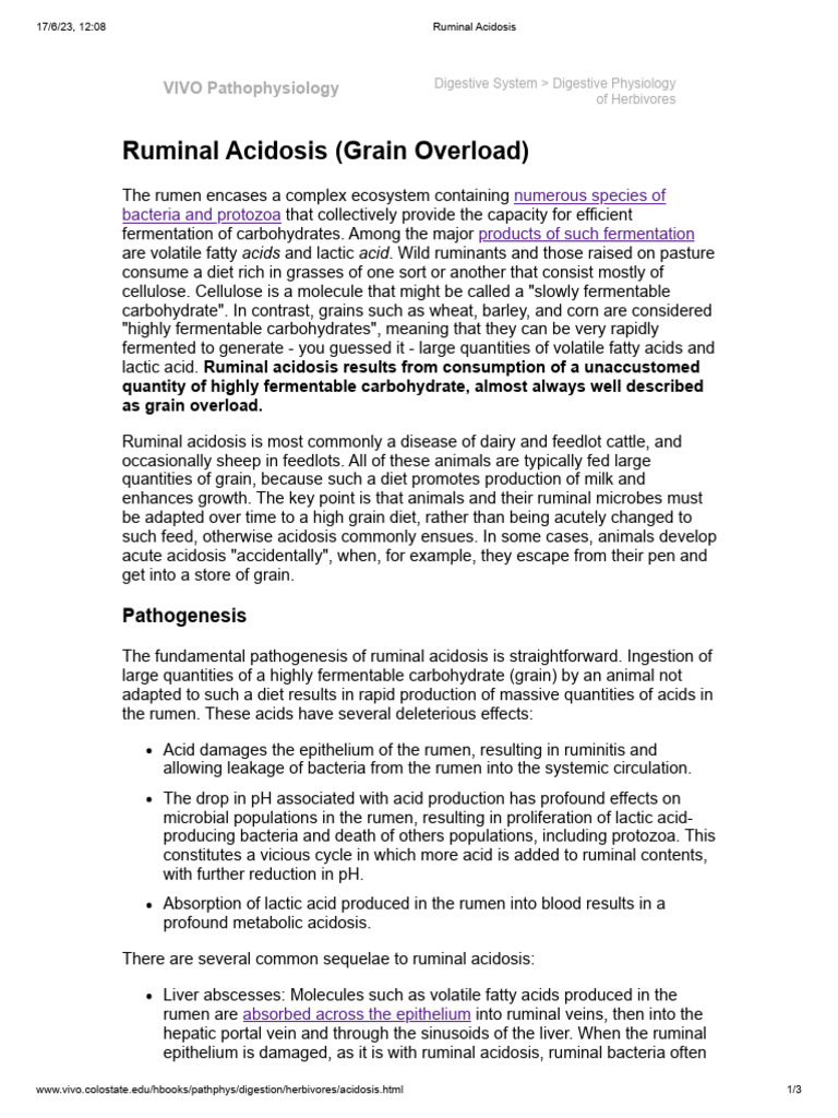Ruminal Acidosis | PDF | Medical Specialties
