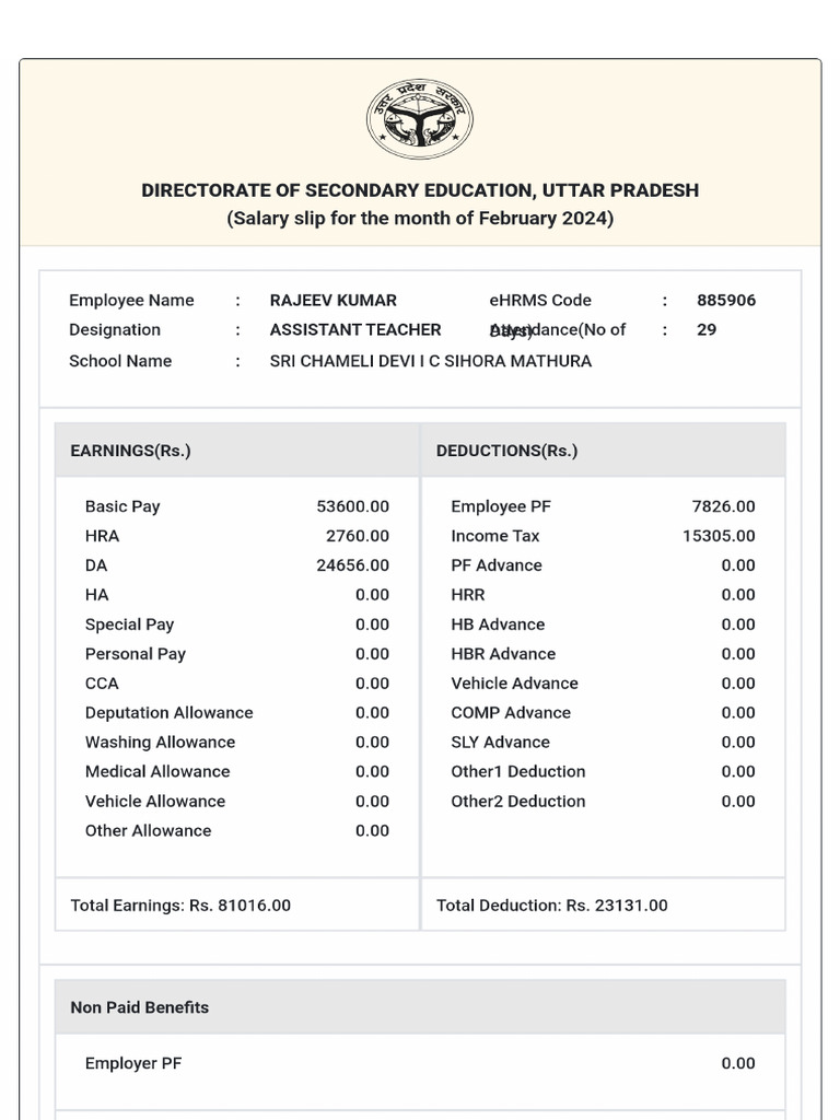 Salary Slip For The Month of February 2024 | PDF