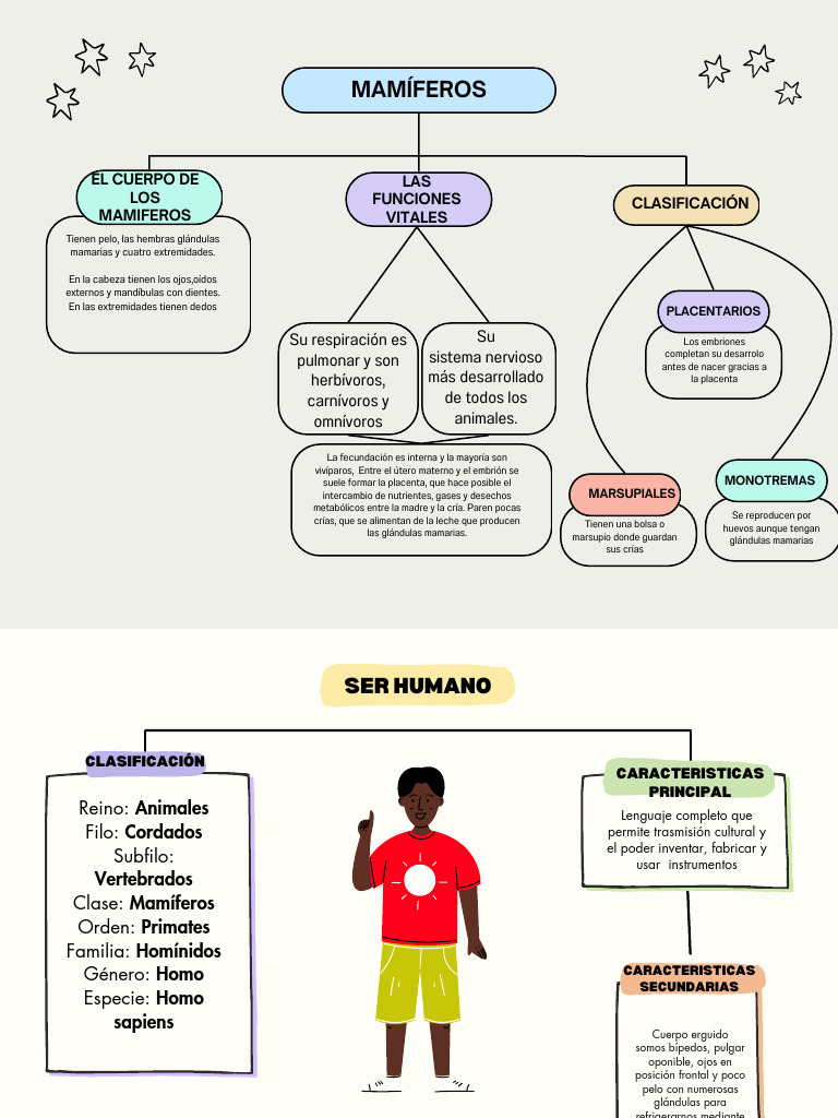 Características y Clasificación de Mamíferos | PDF | Mamíferos ...