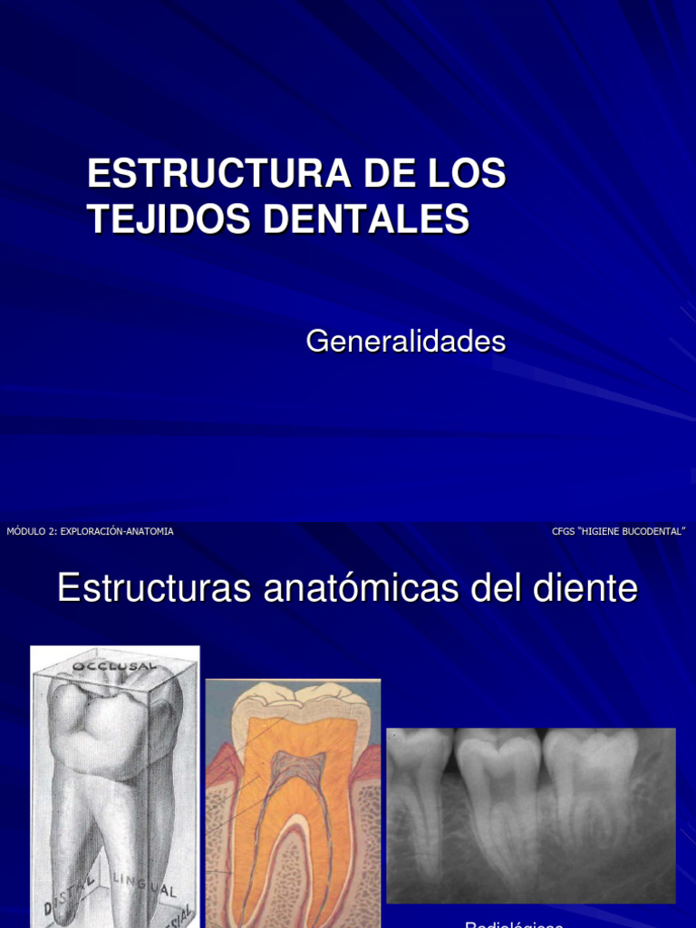 UD3.-Estructura de Los Tejidos Dentales | PDF | Diente | Boca