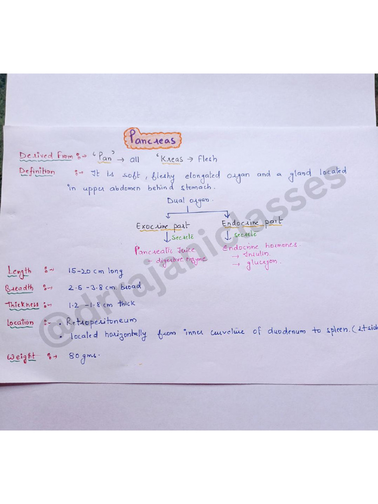 Pancreas Anatomy and Physiology Compressed Low | PDF