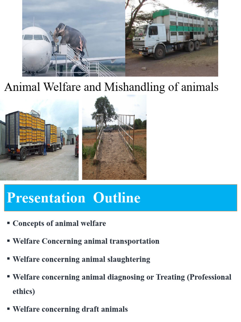 Animal Welfare Concepts | PDF | Animal Welfare