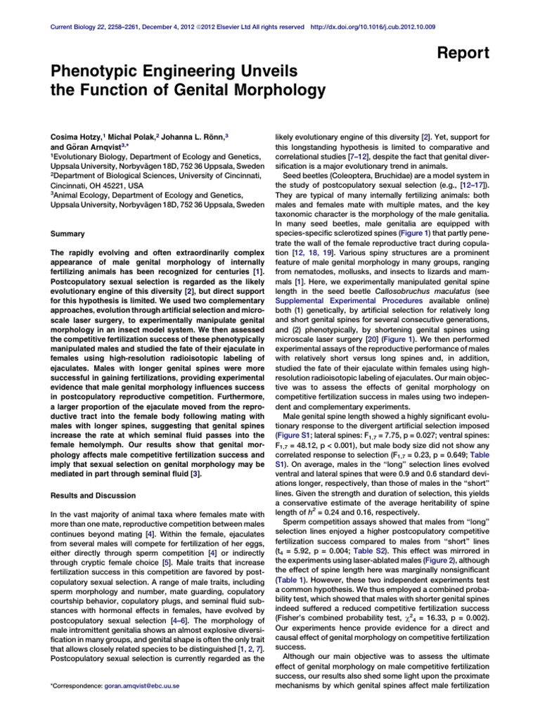 Phenotypic Engineering Unveils The Function Of Genital Mo 2012
