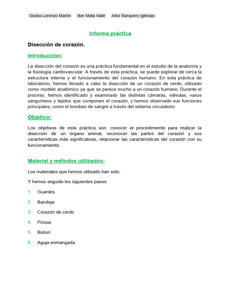Informe Práctica - Disección Del Corazón | PDF | Corazón | Ventrículo (corazón)