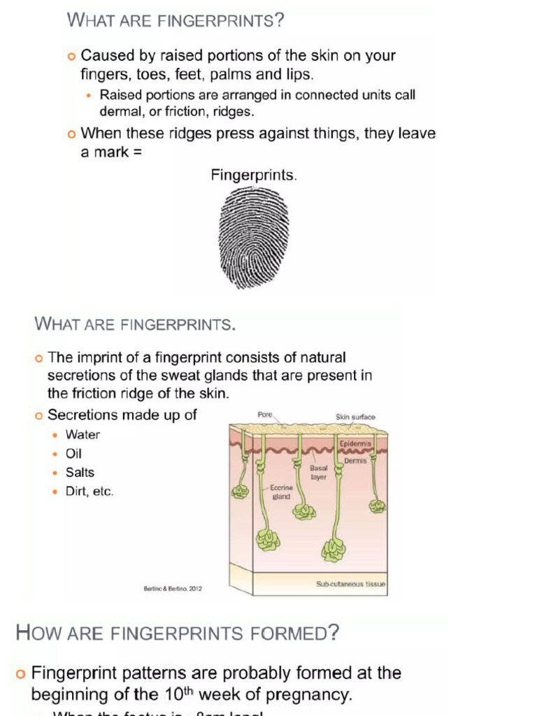 Fingerprinting As Evidence For Legal | PDF