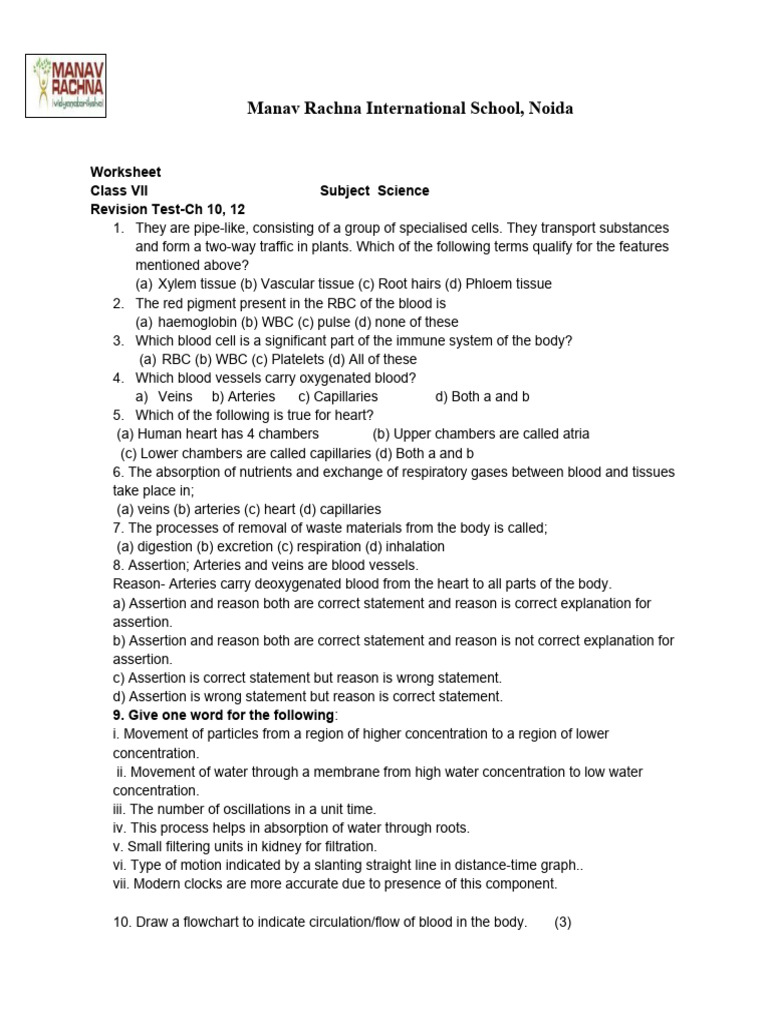 G7-CH 10, 12 - Revision Test | PDF | Blood | Artery