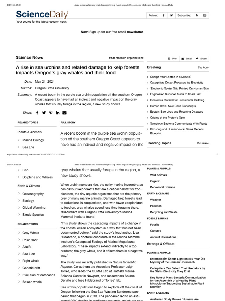 A Rise in Sea Urchins and Related Damage To Kelp Forests Impacts Oregon ...