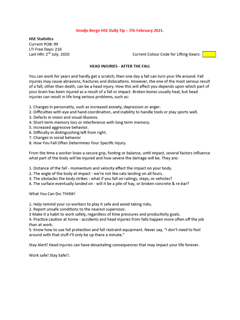 7-02-2021 Daily HSE Tip - HEAD INJURIES - AFTER THE FALL | PDF