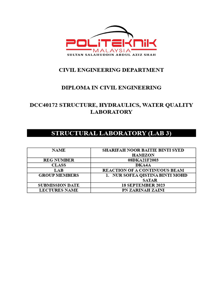 Lab Reaction | PDF | Beam (Structure)
