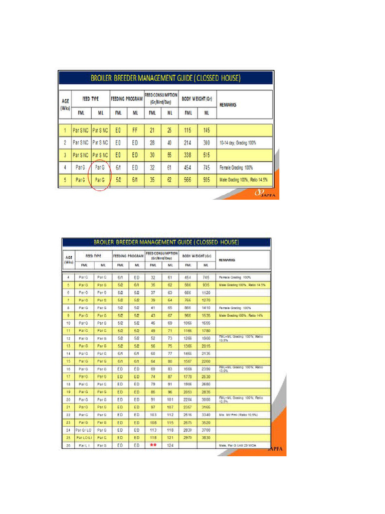 Tabel Feeding Program Broler Breeder - Grower | PDF