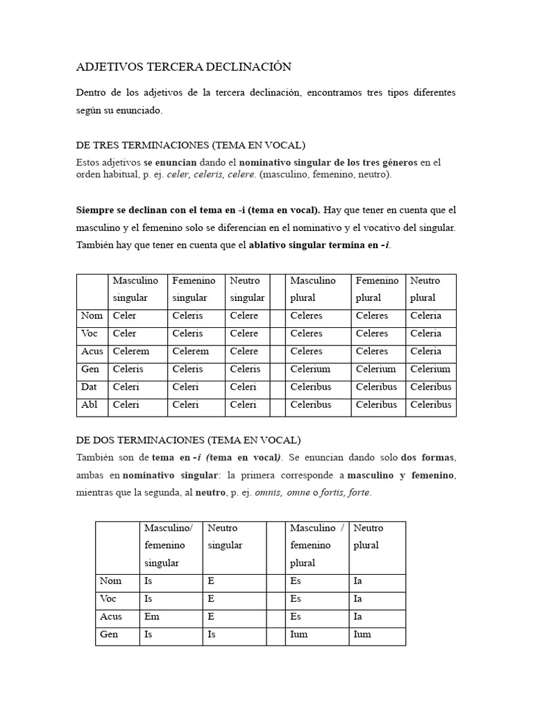 Adjetivos de la Tercera Declinación | PDF | Género gramatical | Adjetivo