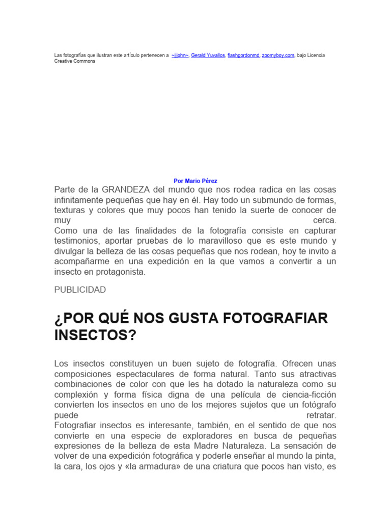 Fotografia de Insectos 1 | Descargar gratis PDF | Cámara | Fotografía macro