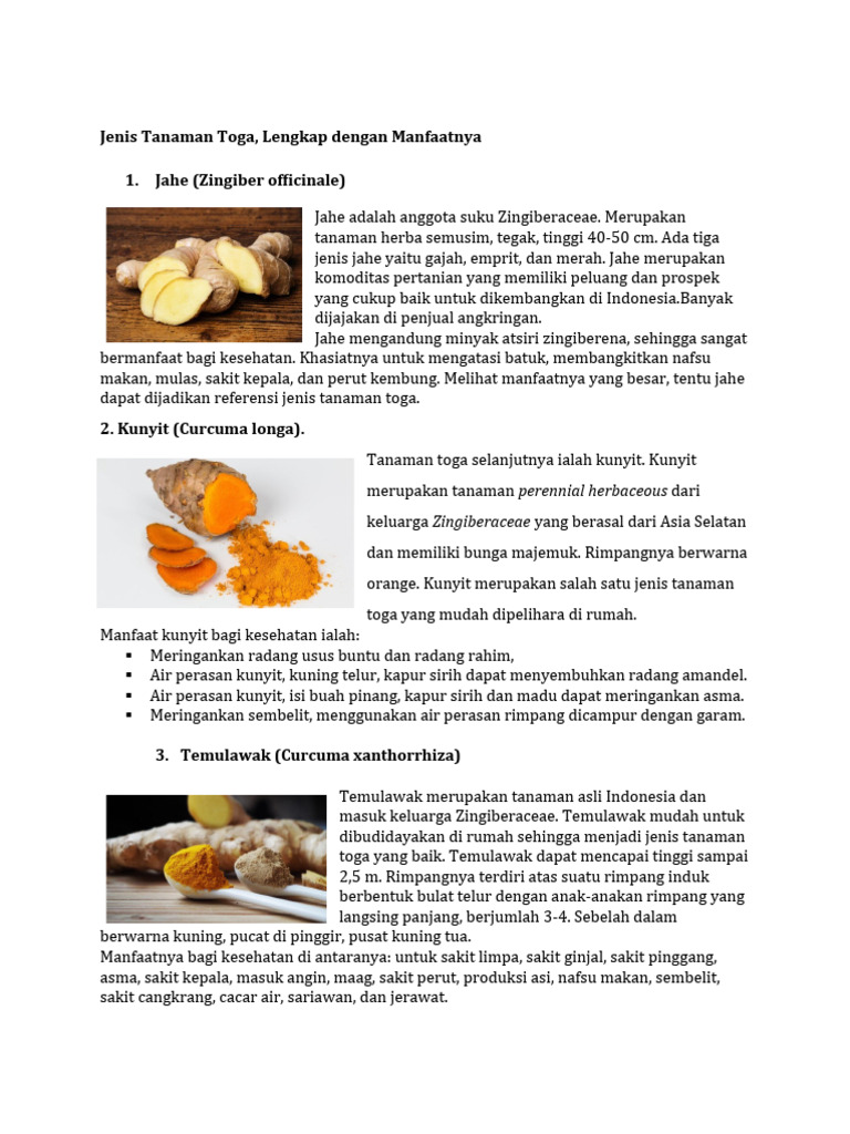 Jenis Tanaman Toga | PDF