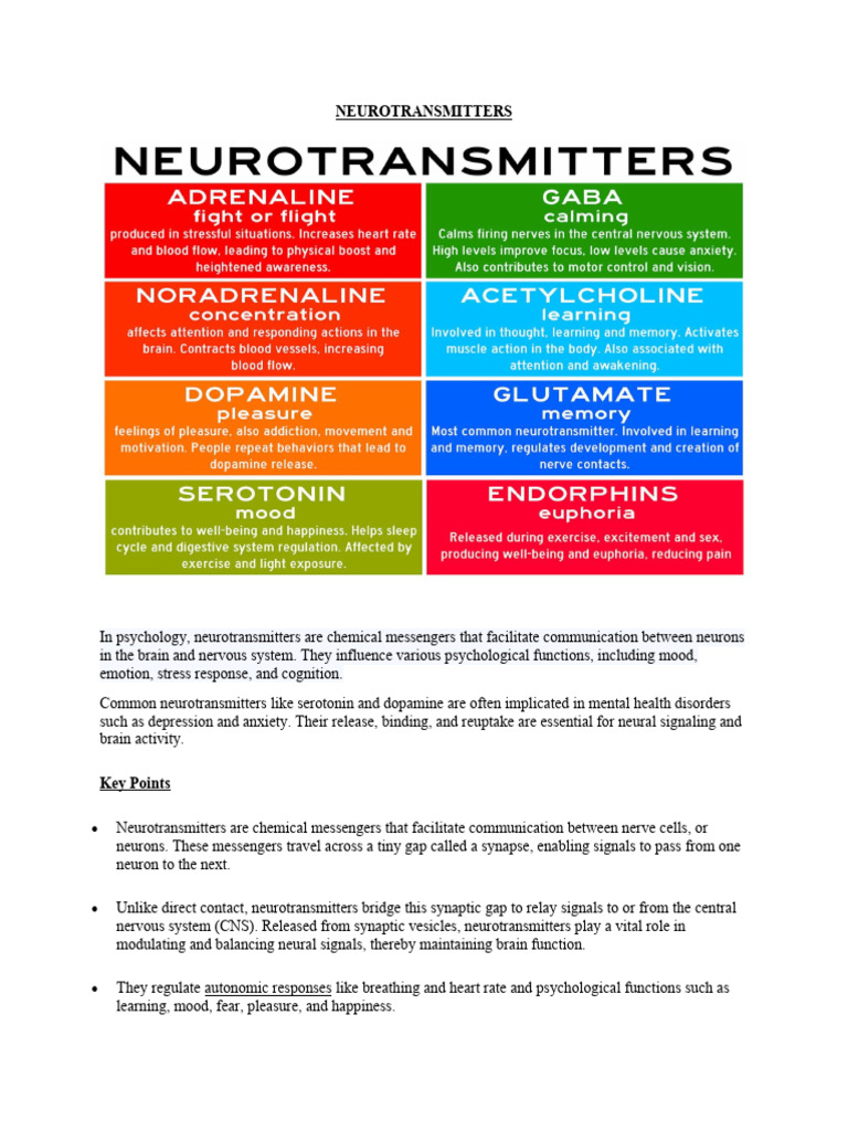 Neurotransmitters | PDF | Neurotransmitter | Synapse