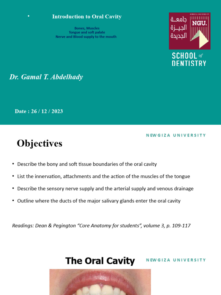 8.2-Introduction to Oral Cavity | PDF | Tongue | Anatomy