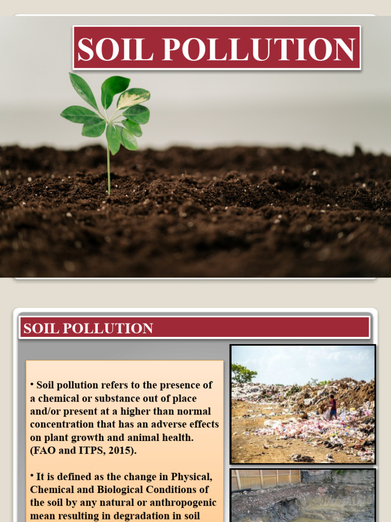 Soil Pollution Ppt (2) | PDF | Environmental Remediation | Soil